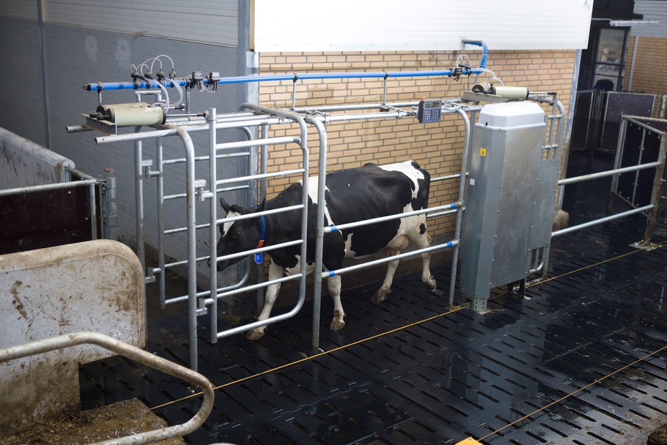 Puertas automáticas – Biolacta