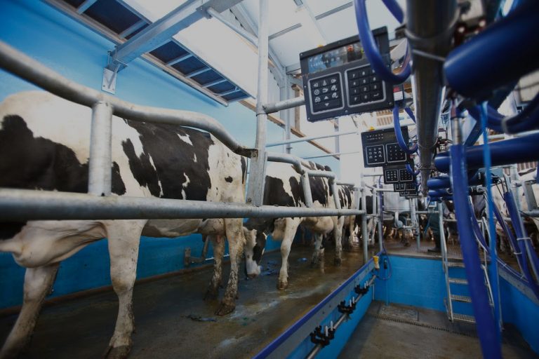 Balanza de paso – Biolacta